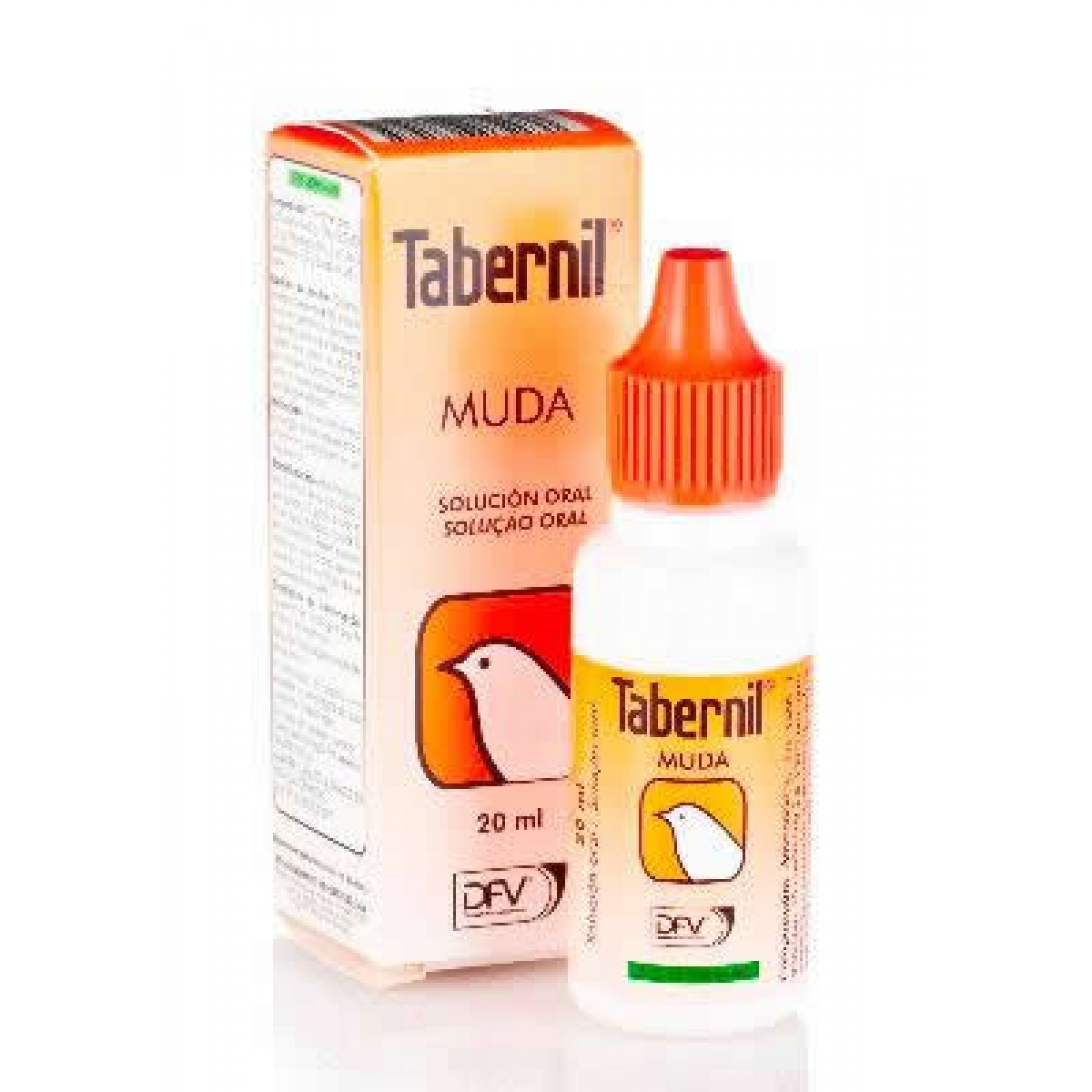 Tabernil Muda